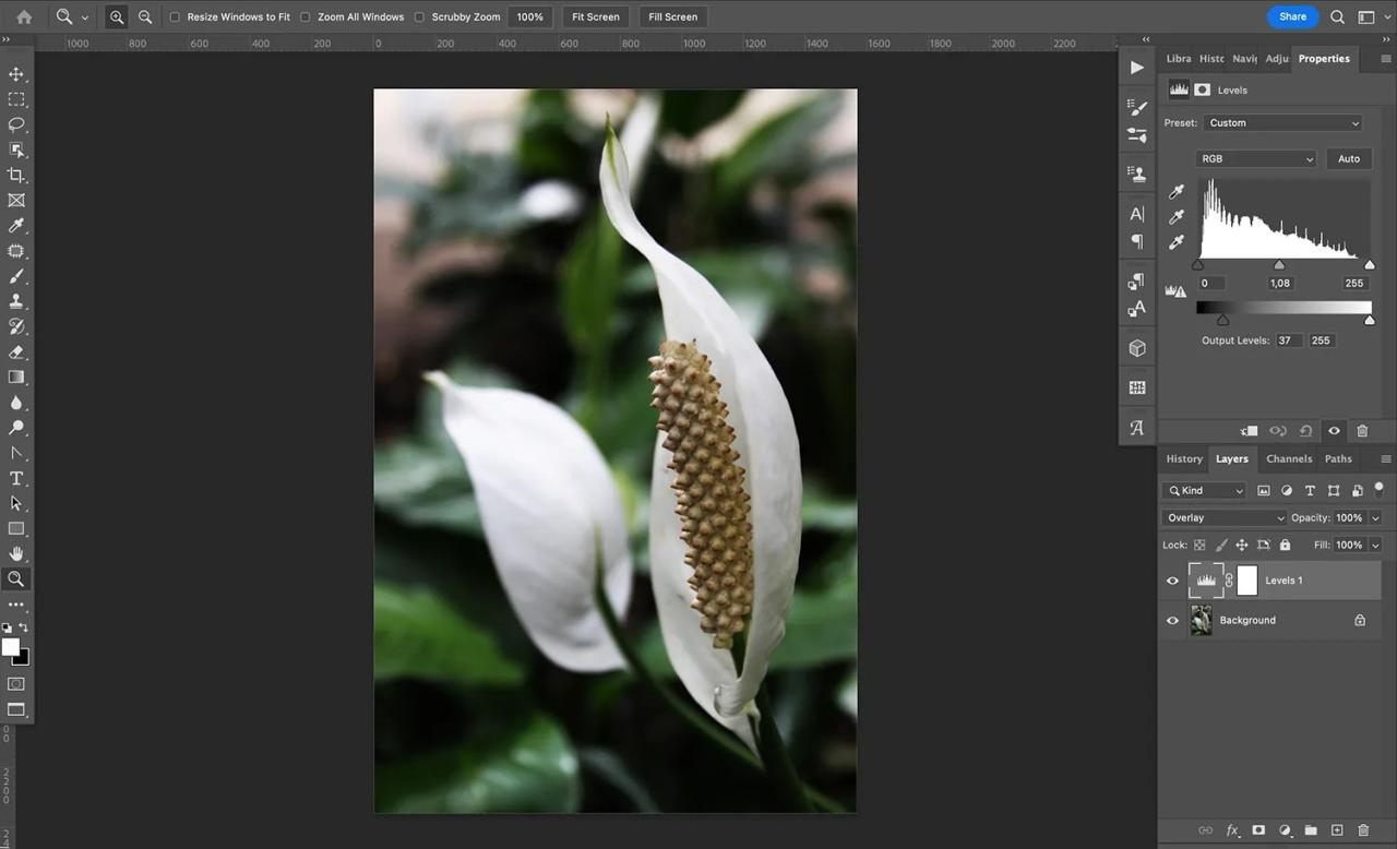 Overlay Blend Mode: A Comprehensive Guide – LensWisdom