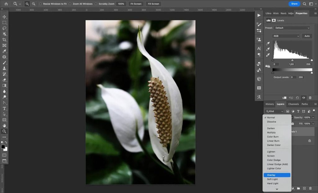 Overlay Blend Mode: A Comprehensive Guide – LensWisdom