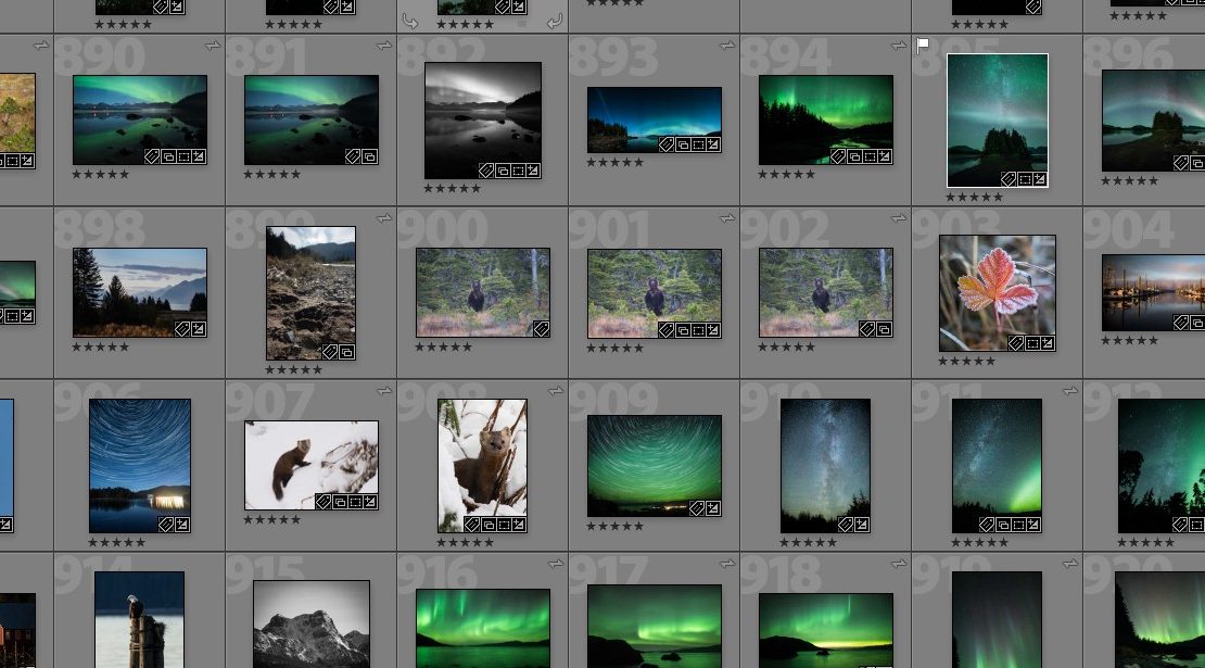 Lightroom Star Ratings: A Quick Guide – LensWisdom